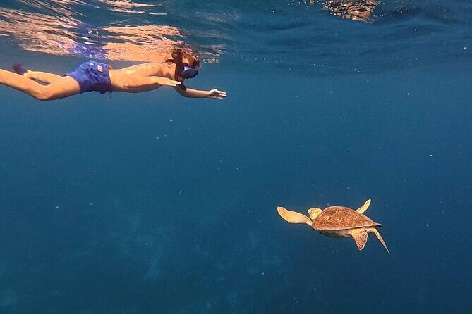 Private Sunset Cruise in Bonaire with Snorkeling - Frequently Asked Questions