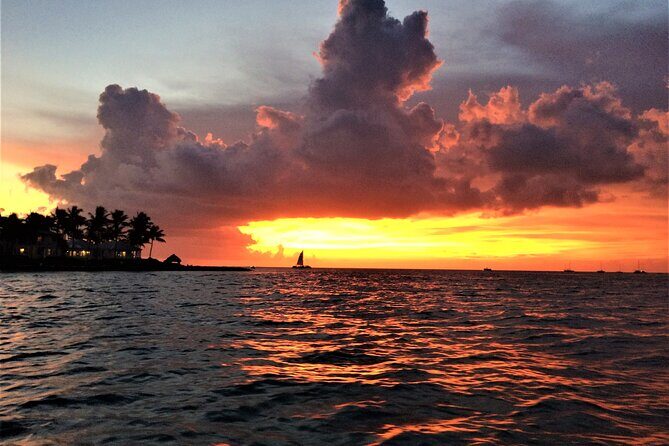 Private Sunset Cruise in Key Largo - Practical Tips for Potential Bookers