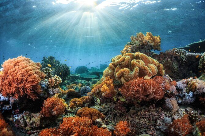 Private Sunset Cruise in Kona - The Value of This Experience