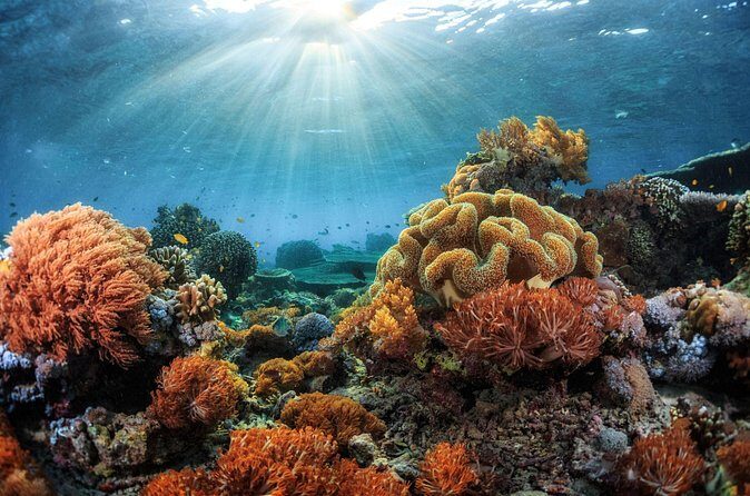 Private Sunset Cruise in Kona - Who Would Love This Tour?