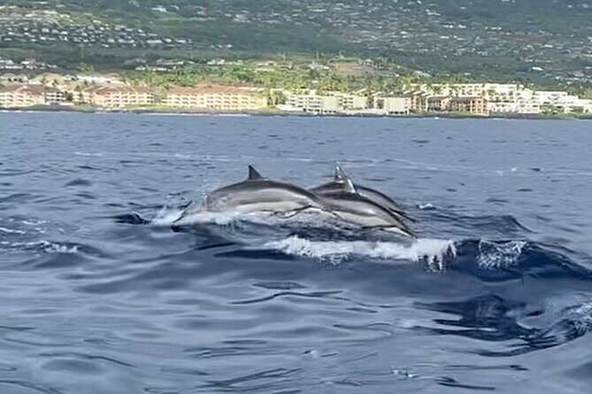 Private Sunset Cruise in Kona - Final Thoughts
