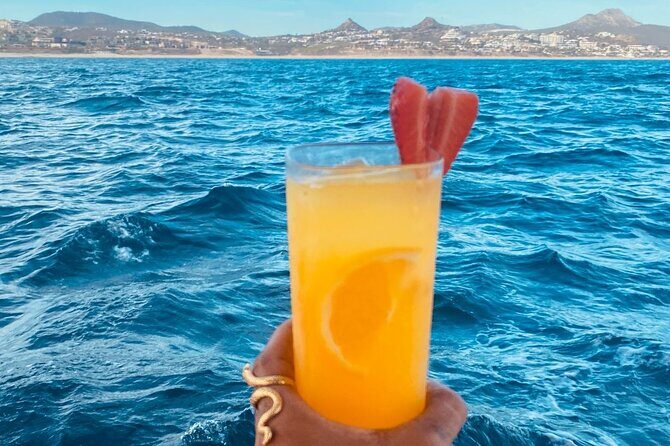 Private Sunset Cruise in San Jose del Cabo Appetizers,open bar - The Sum Up: Is It Worth It?