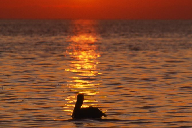 Private Sunset Cruise South Padre Island - Tips for an Unforgettable Sunset Cruise