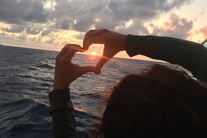 Private Sunset Harbor Sail (25 Max) - What You Can Expect on the Private Sunset Harbor Sail