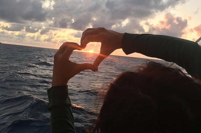 Private Sunset Harbor Sail (25 Max) - FAQs