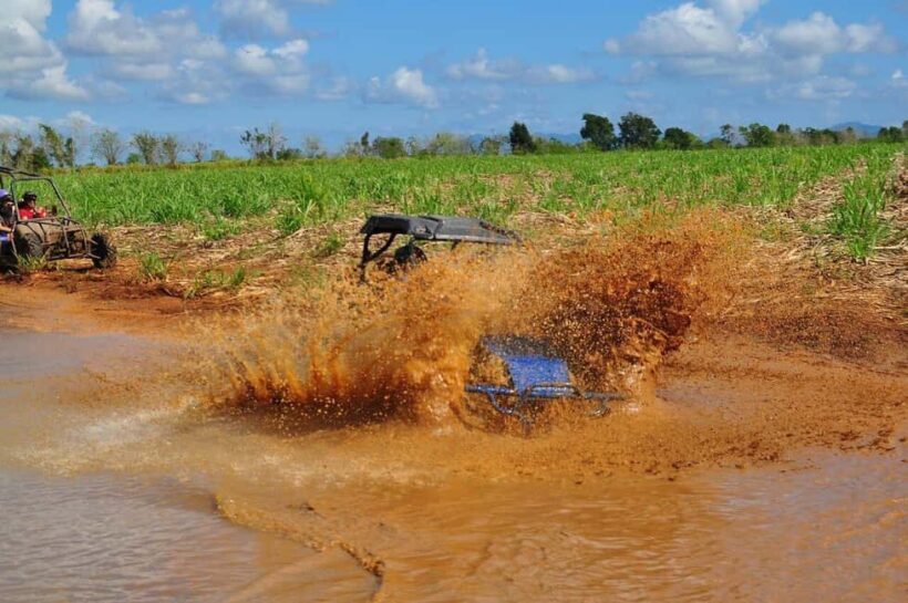 Private: Sunset Horseback Experience  Macao Forest & Beach - Key Points