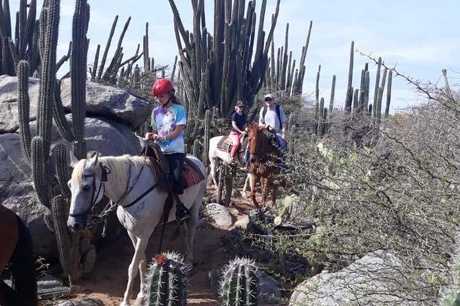 Private Sunset Horseback Ride - Authentic Reviews: Voices from Past Participants