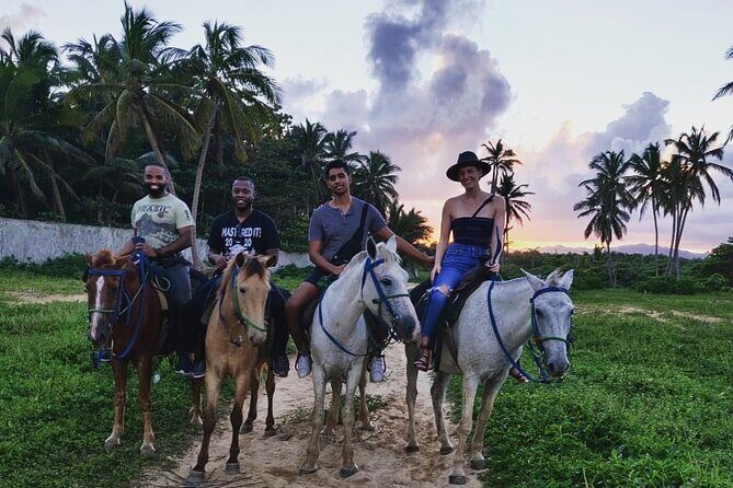 Private Sunset Horseback Riding in punta cana beach - The Itinerary in Detail