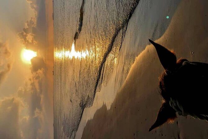 Private Sunset Horseback Riding in punta cana beach - Practical Tips for Making the Most of Your Tour