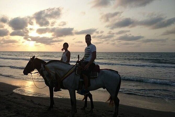 Private Sunset Horseback Riding in punta cana beach - The Worthwhile Experience for You?
