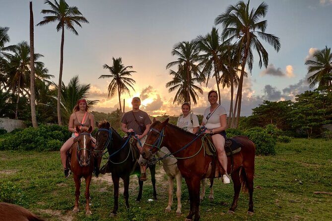 Private Sunset Horseback Riding in punta cana beach - Summary: Who Should Book This Tour?