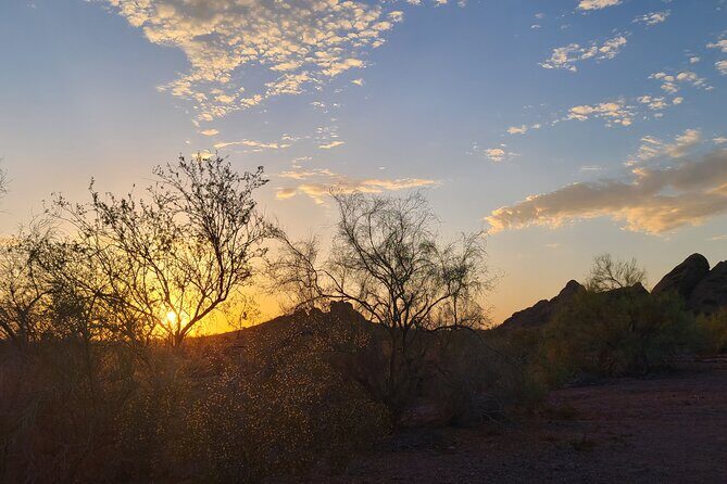 Private Sunset Walking Tour -Sonoran Desert Botanical Gardens 2h - What to Expect on the Sunset Walking Tour