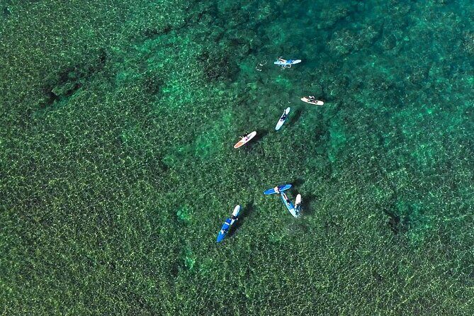 Private Surf Lesson for 3-5 People in North Shore Oahu - Exploring the Experience: What to Expect