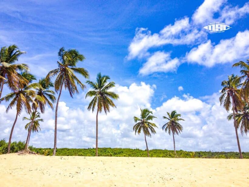 Private Surf Lesson Punta Cana  1-on-1 for All Levels - Exploring the Private Surf Lesson Punta Cana Experience