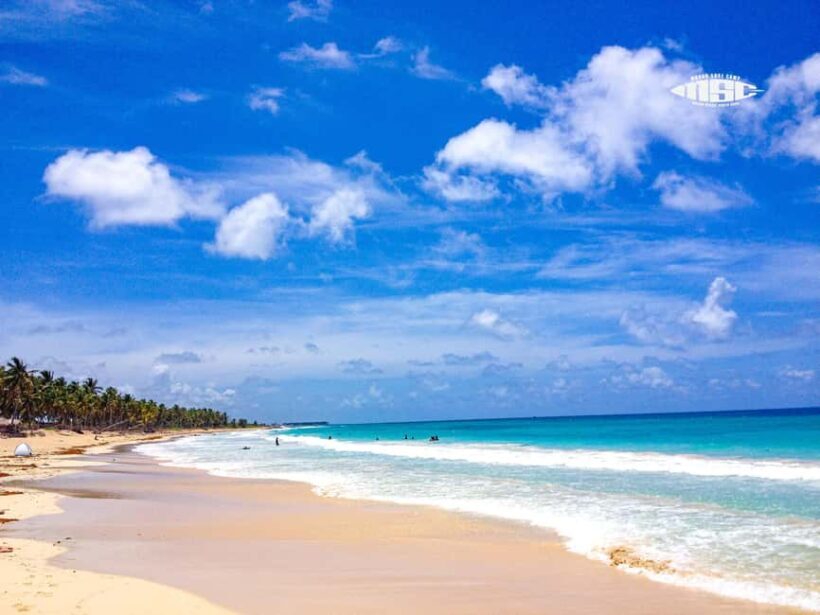 Private Surf Lesson Punta Cana  1-on-1 for All Levels - The Sum Up