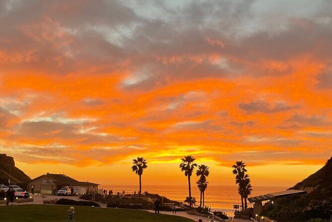 Private Surf Lesson Solana Beach Ride the Waves Fletcher Cove 2hr - The Itinerary: Breaking Down the Experience