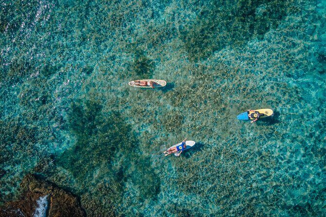 Private Surf Lessons in Guadeloupe - Detailed Breakdown of the Tour