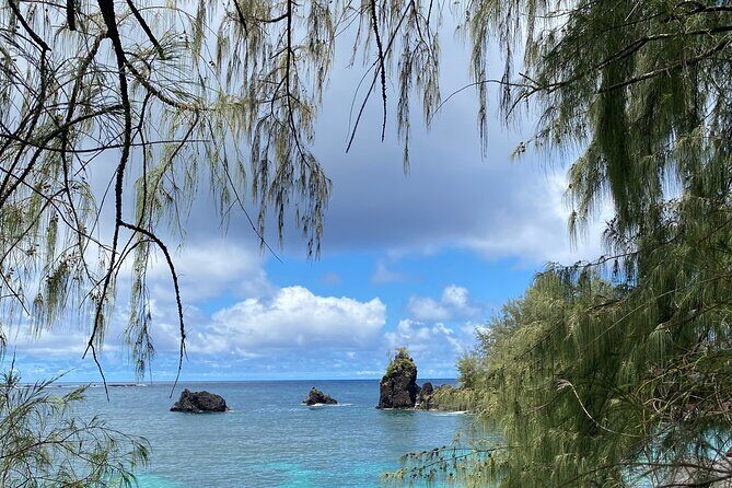 Private Surf Lessons in Lahaina, Maui - Overview of the Private Surf Lessons in Lahaina