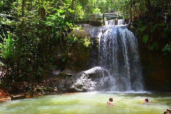 Private Suva Nature and Waterfall Tour - What to Expect: The Itinerary in Detail