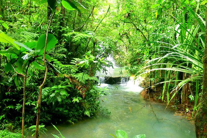 Private Suva Nature and Waterfall Tour - Who Should Book This Tour?