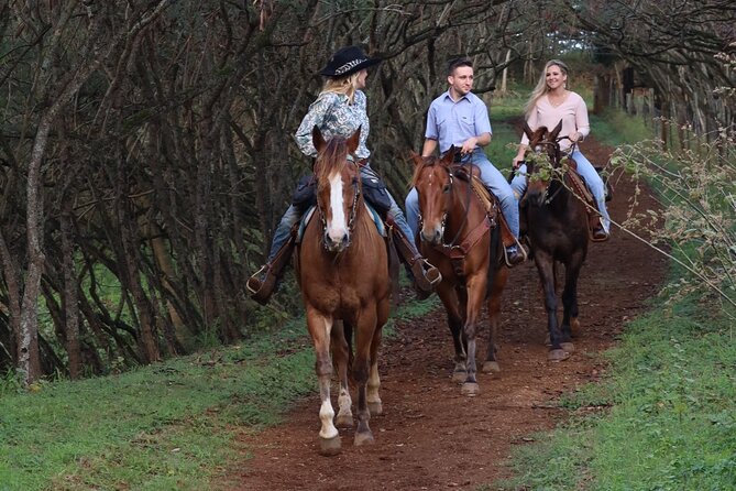 Private Sweetheart Horseback Ride - Customer Testimonials and Reviews