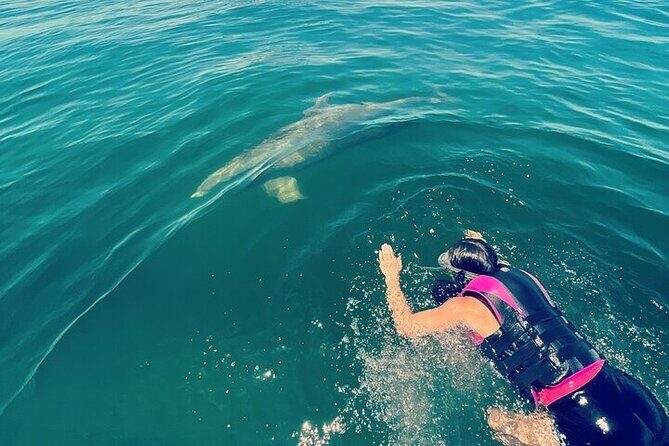 Private Swim with Dolphins And Snorkeling Tour - The Details of the Santa Maria Experience