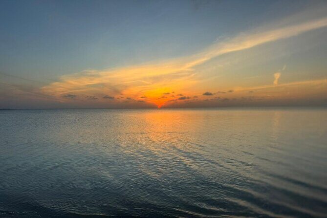 Private Swim With Pigs and Snorkeling in Paradise Tour - What to Expect from the Tour