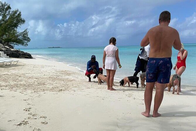 Private Swim With Pigs and Snorkeling in Paradise Tour - Final Thoughts: Who Will Love This Tour?
