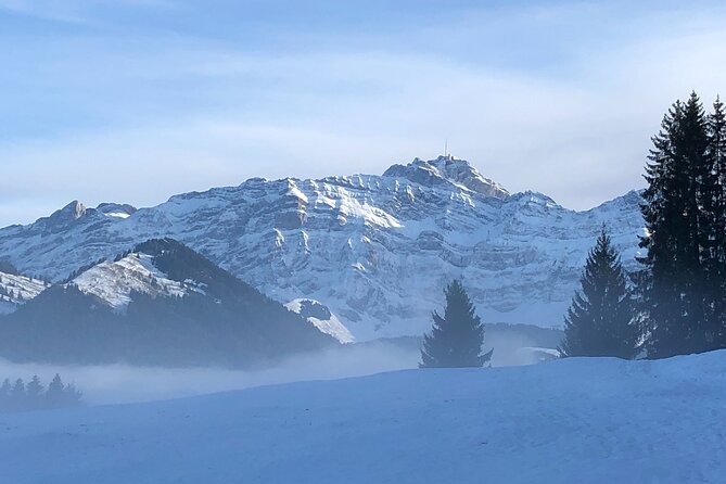 Private Swiss Chocolate, Cheese, Mountain Santis Tour with Pickup - Authentic Experiences and Hidden Gems