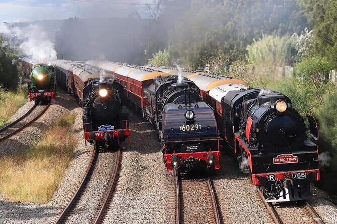 Private Sydney Rail Tours - See Best Sights by Train - Exploring Sydney on Your Own Terms: The Core Experience