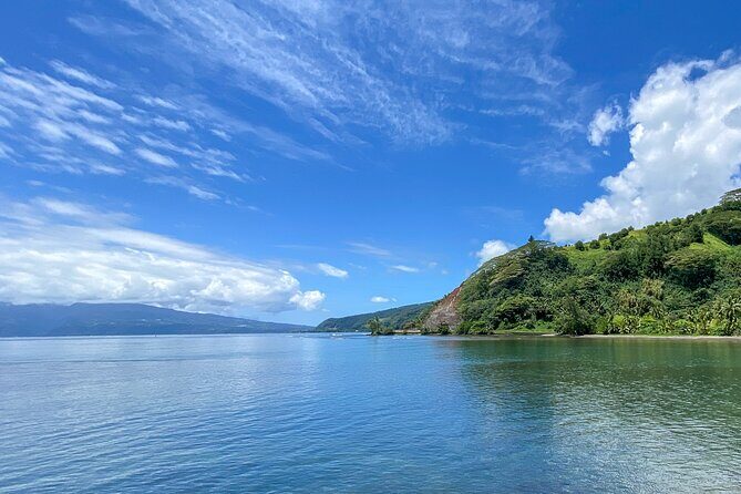 Private TAHITI Half Day Circle Island Tour (Departs 8am or 1pm) - Who Should Consider This Tour?