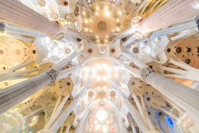 Private Tailored Barcelona Tour Review - Highlights of the Tour