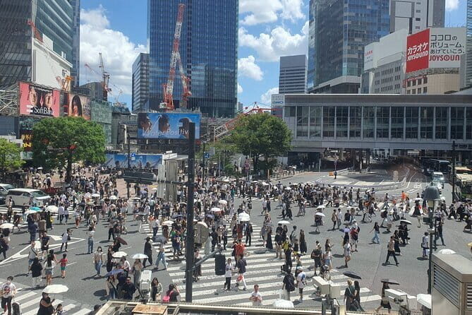Private Tailored Tour with Local Guide in Tokyo - Who Will Love This Tour?