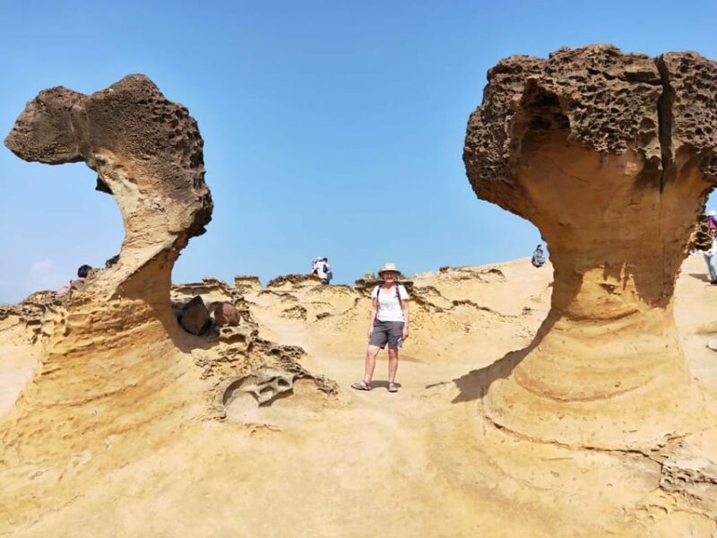 Private Taipei City Layover Tour from TPE Airport - Final Thoughts