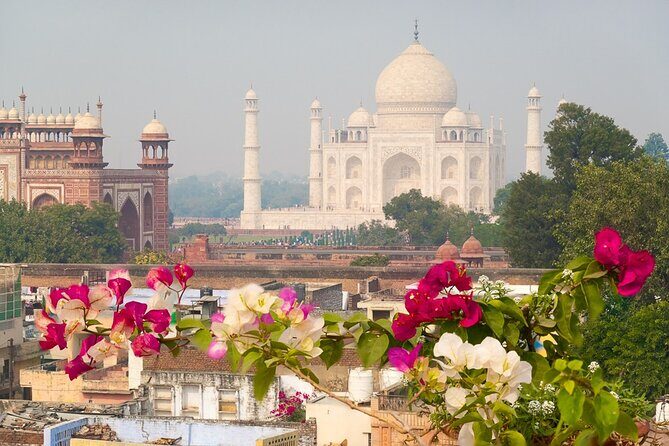 Private Taj Mahal, Agra & Jaipur Tour from Delhi by Car - Final Thoughts: Is This Tour Right for You?