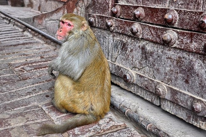 Private Taj Mahal & Agra Tour by Express Train From - Delhi - The Sum Up