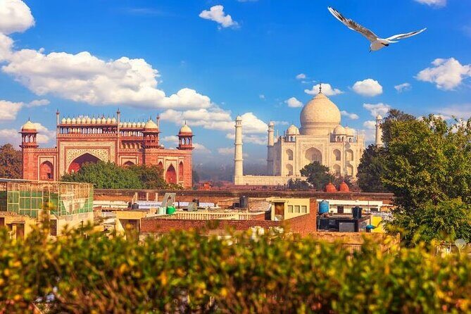 Private Taj Mahal at Sunrise and Agra Day Tour from Delhi All Inclusive - Final Thoughts