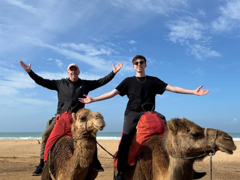 Private Tangier Tour from Ferry /Cruise ship Including Lunch - Who Would Love This Tour?