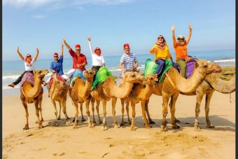 Private Tangier Tour with Lunch and Camel Ride - An In-Depth Look at What the Tour Offers