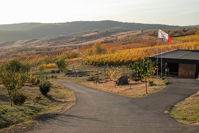 Private Tasting Expedition Along Romanias Most Famous Wine Route - Key Points