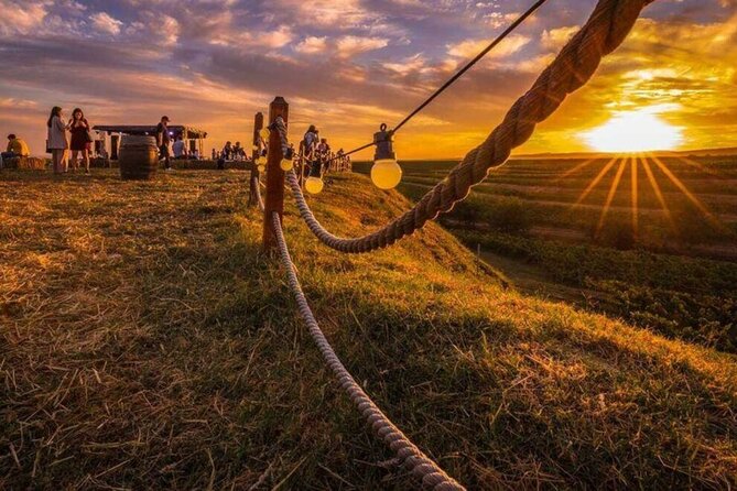 Private Tasting Expedition Along Romanias Most Famous Wine Route - What to Expect on the Day