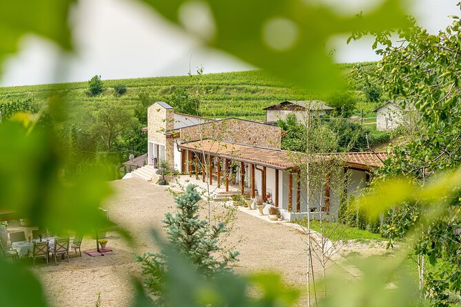 Private Tasting Expedition Along Romanias Most Famous Wine Route - Who Will Enjoy This Tour?