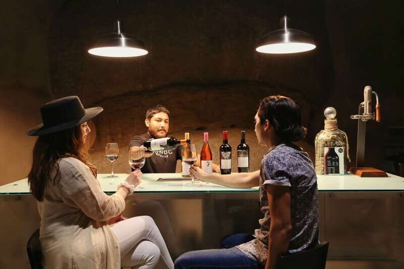 Private Tasting in Valle de Guadalupe Winery - Key Points