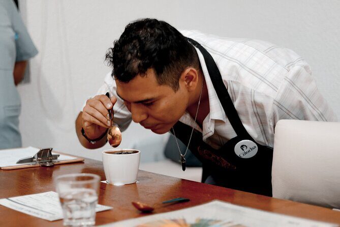 Private Tasting of Chiapas Coffees for 2 Hours - The Sum Up