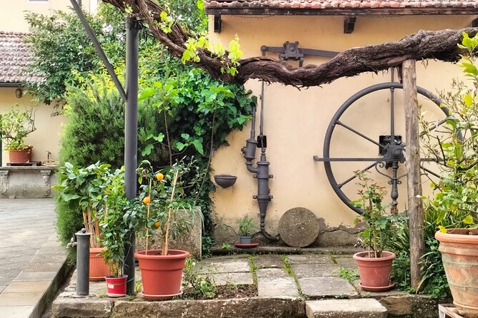 Private tasting of organic wines in the cellar in Arezzo - Introduction