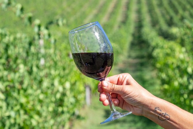 Private tastings at the Colombina Agricultural Company - FAQ: Your Questions Answered