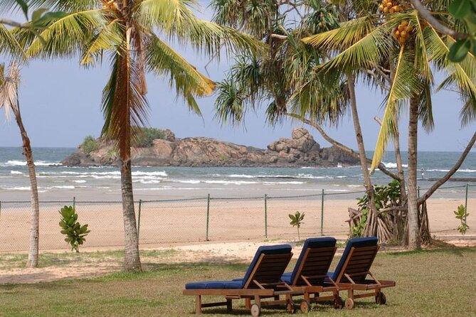 Private Taxi from Sri Lanka Airport (CMB-BIA) to The Palms Hotel Beruwala - Why This Transfer Works Well