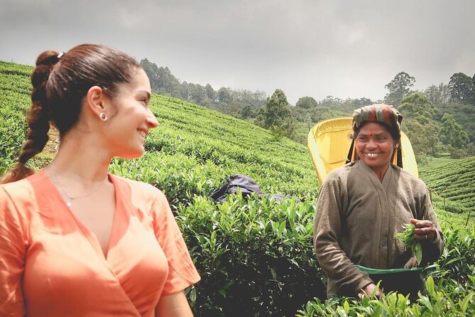 Private Tea Tour and Tea Factory - Key Points: