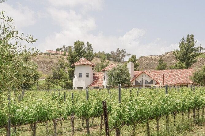 Private Temecula Wine Tour from Fallbrook - The Ride and the Planning: What to Expect