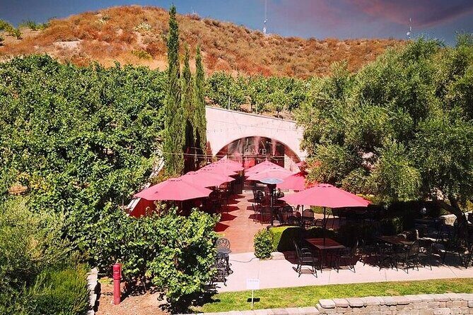 Private Temecula Wine Tour from Fallbrook - Midday Rest and Lunch Options